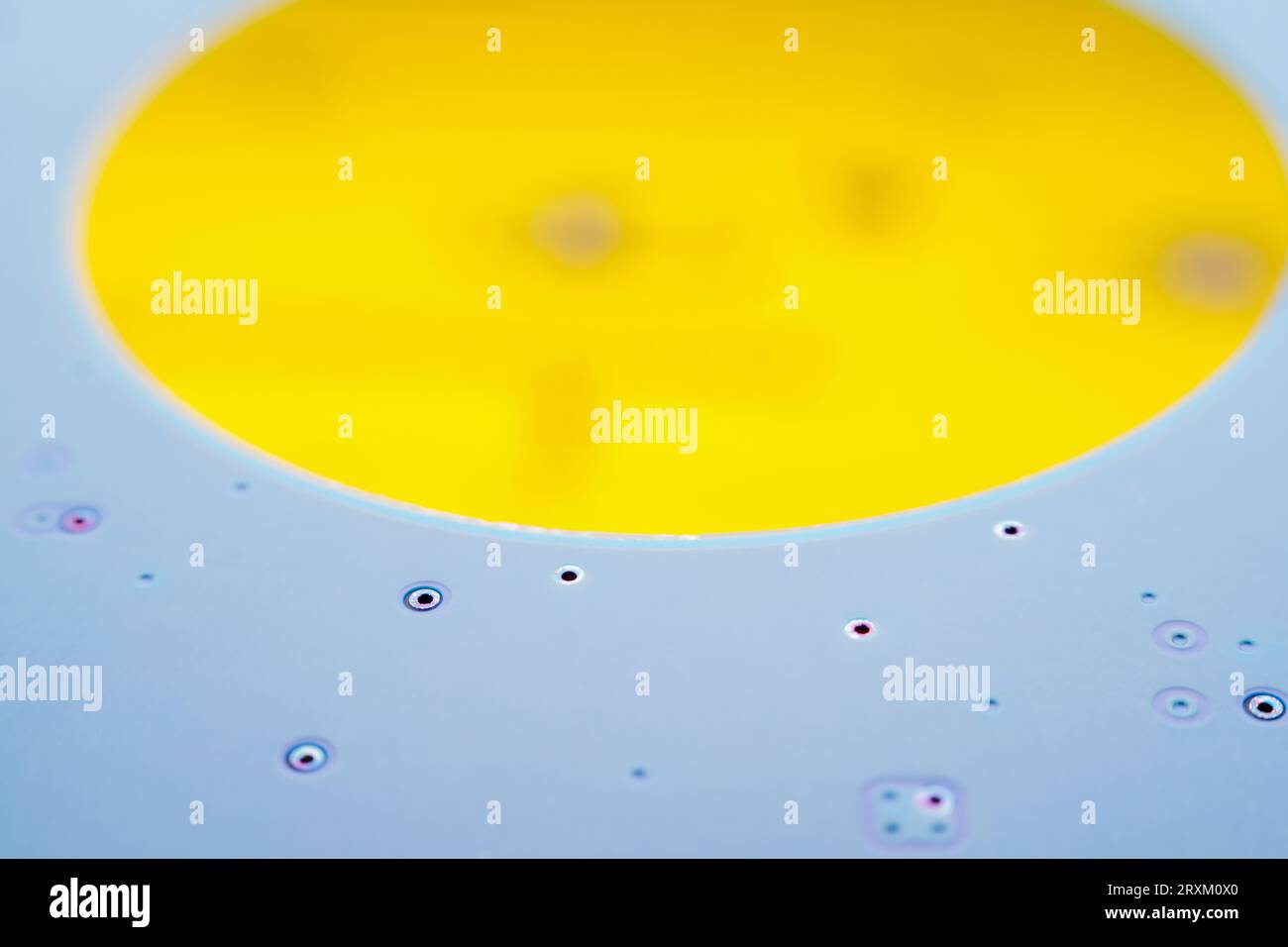 Internal structure of mobile hard drive Stock Photo - Alamy