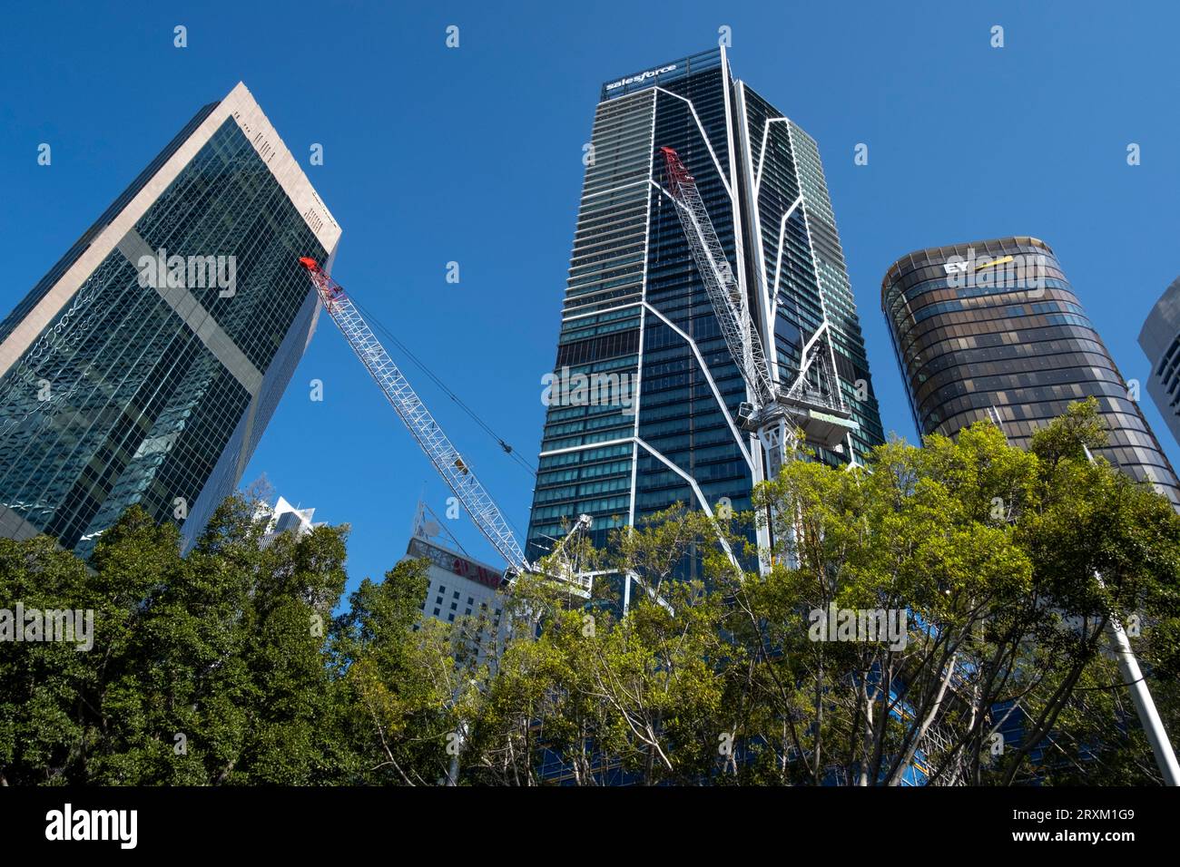 Office blocks near circular quay, Sydney, New South Wales, Australia ...