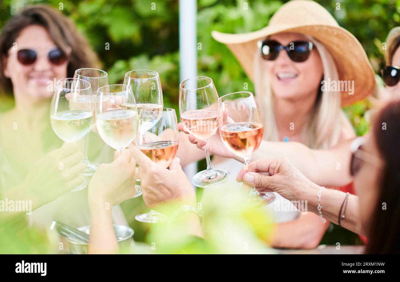 Friends making celebratory toast during lunch Stock Photo - Alamy