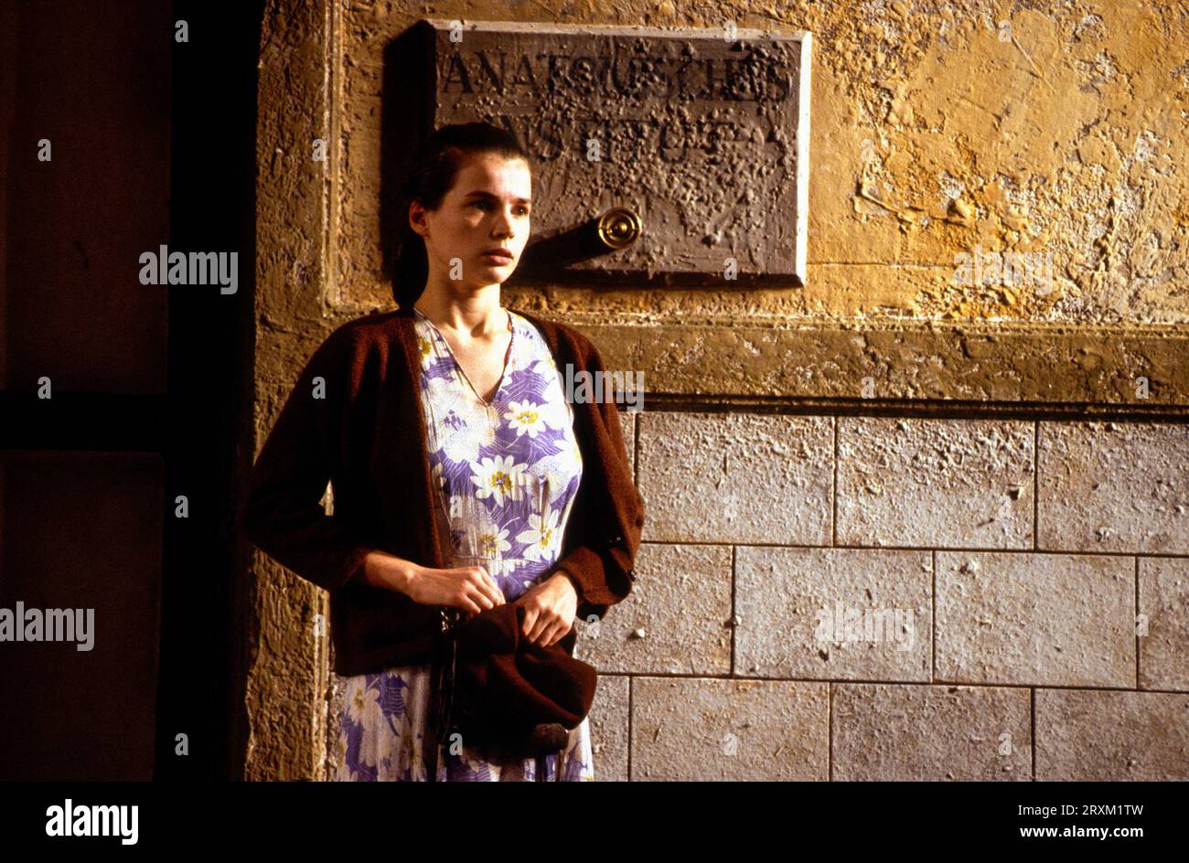 State anatomical institute hi-res stock photography and images - Alamy