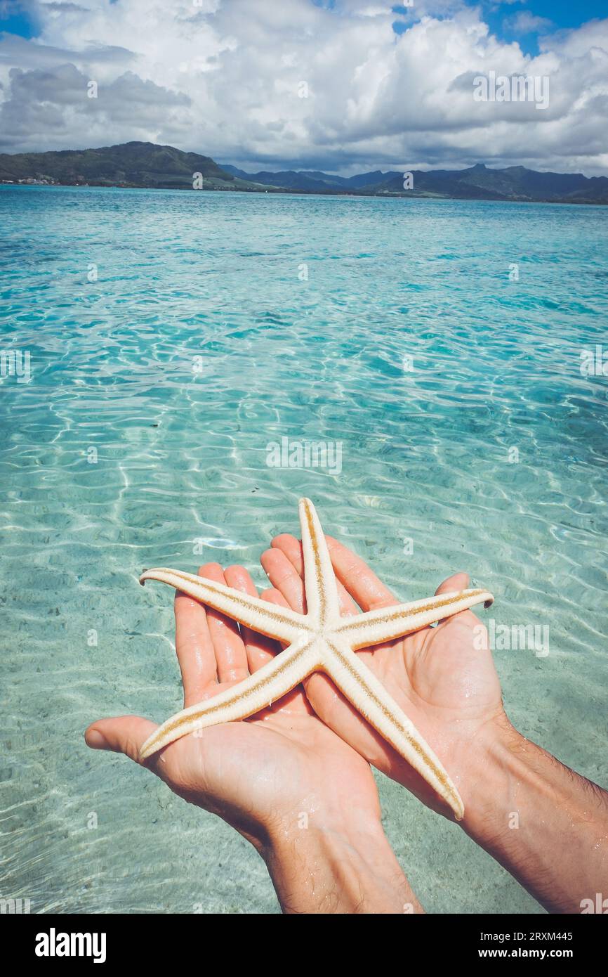 Humans Holding Starfishes