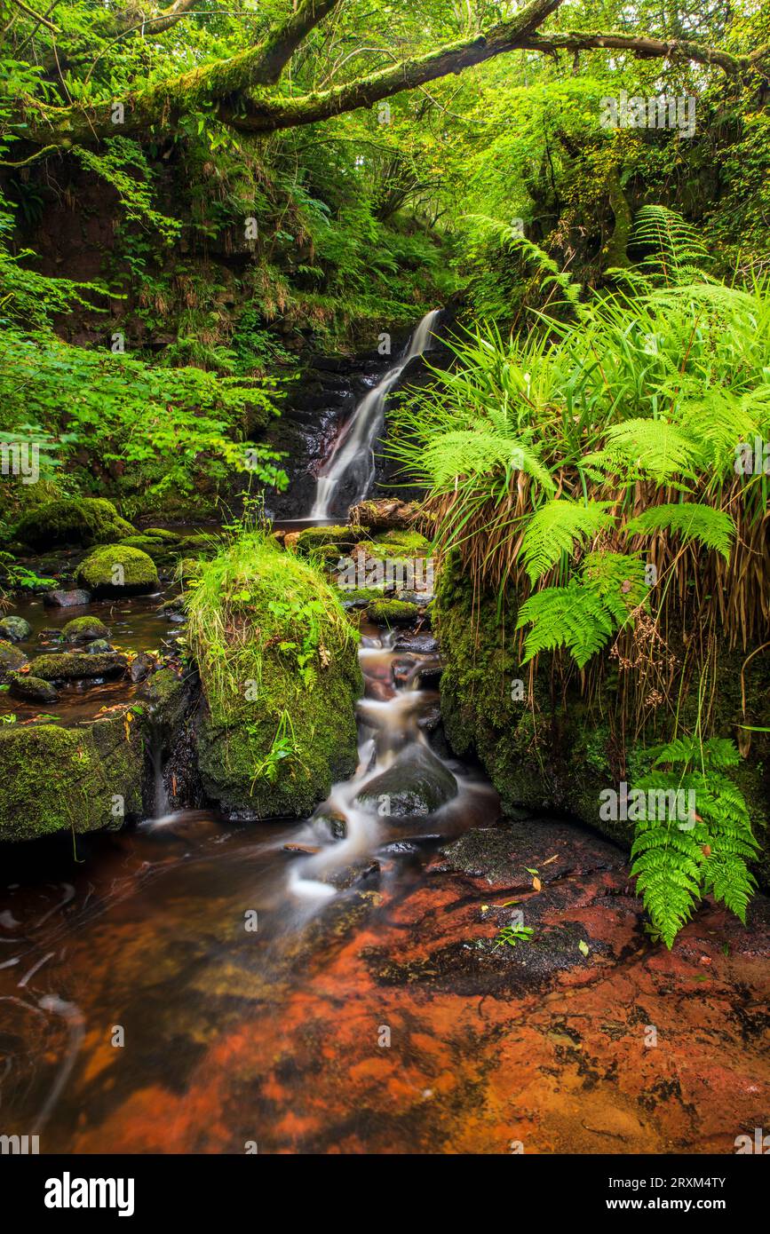 Burn anne galston hi-res stock photography and images - Alamy