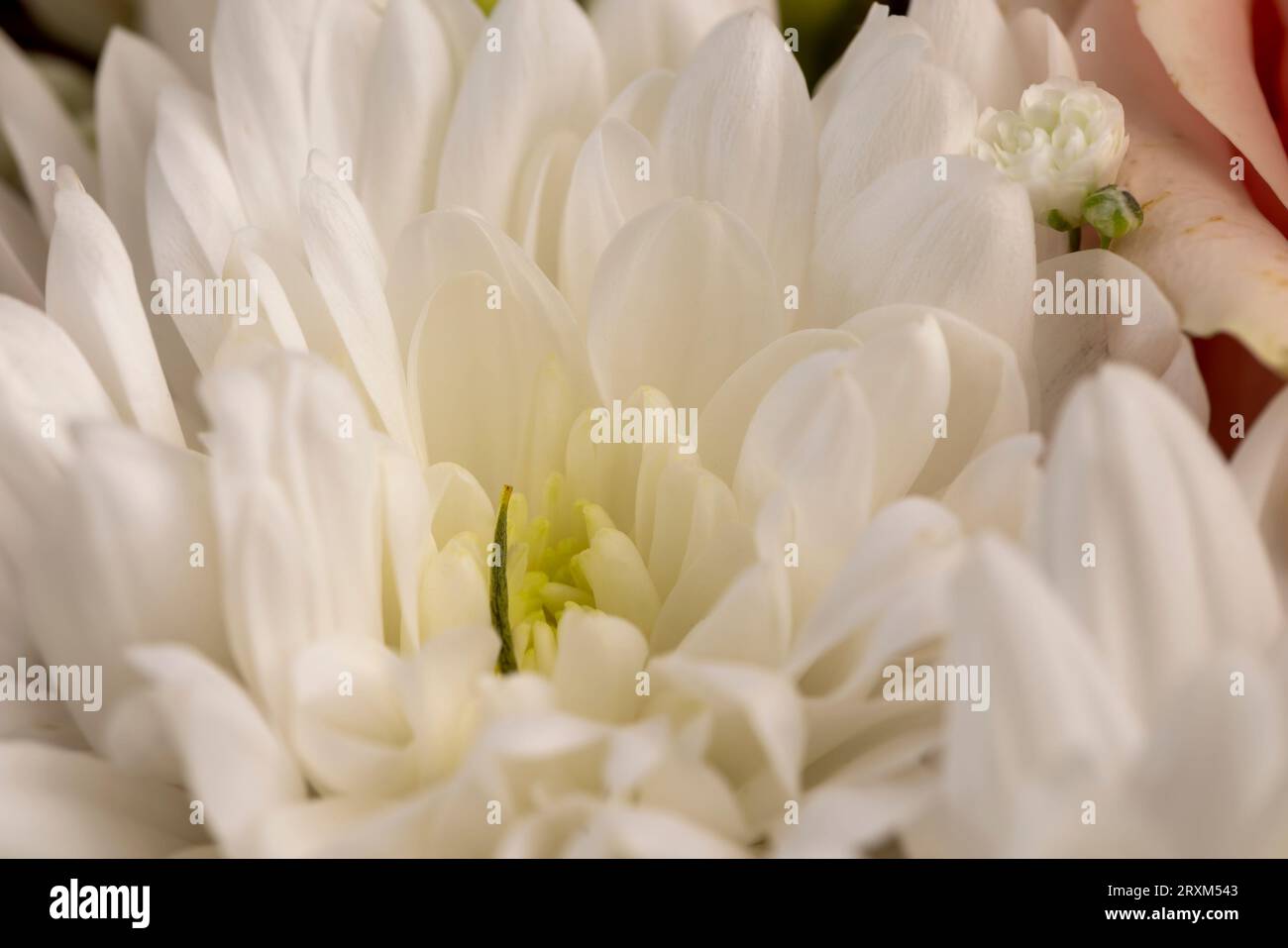 Quality defects hi-res stock photography and images - Alamy