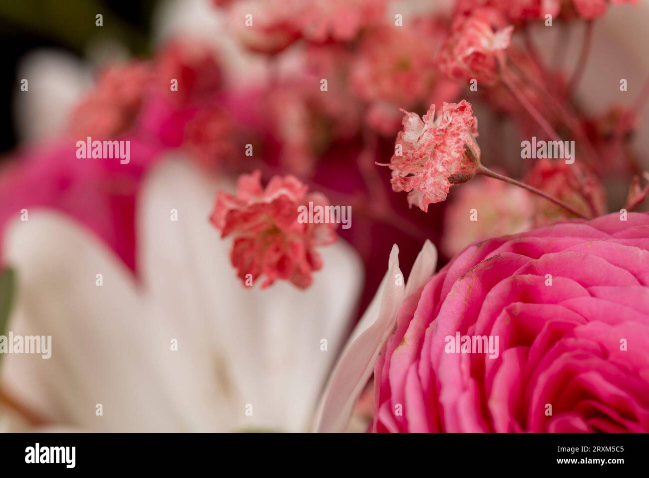 using different types of flowers to create a small bouquet for a ...