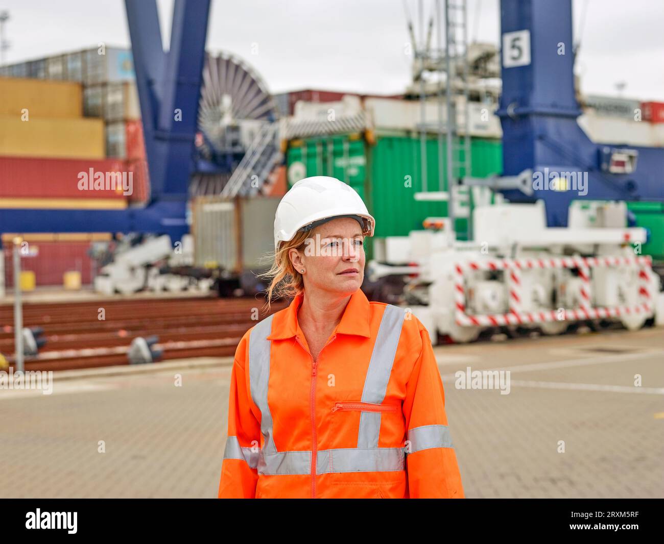 Dock worker at Port of Felixstowe, England Stock Photo - Alamy