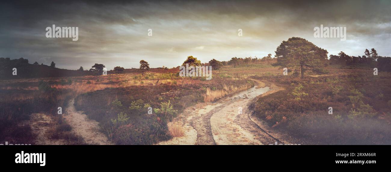 Bush land hi-res stock photography and images - Alamy
