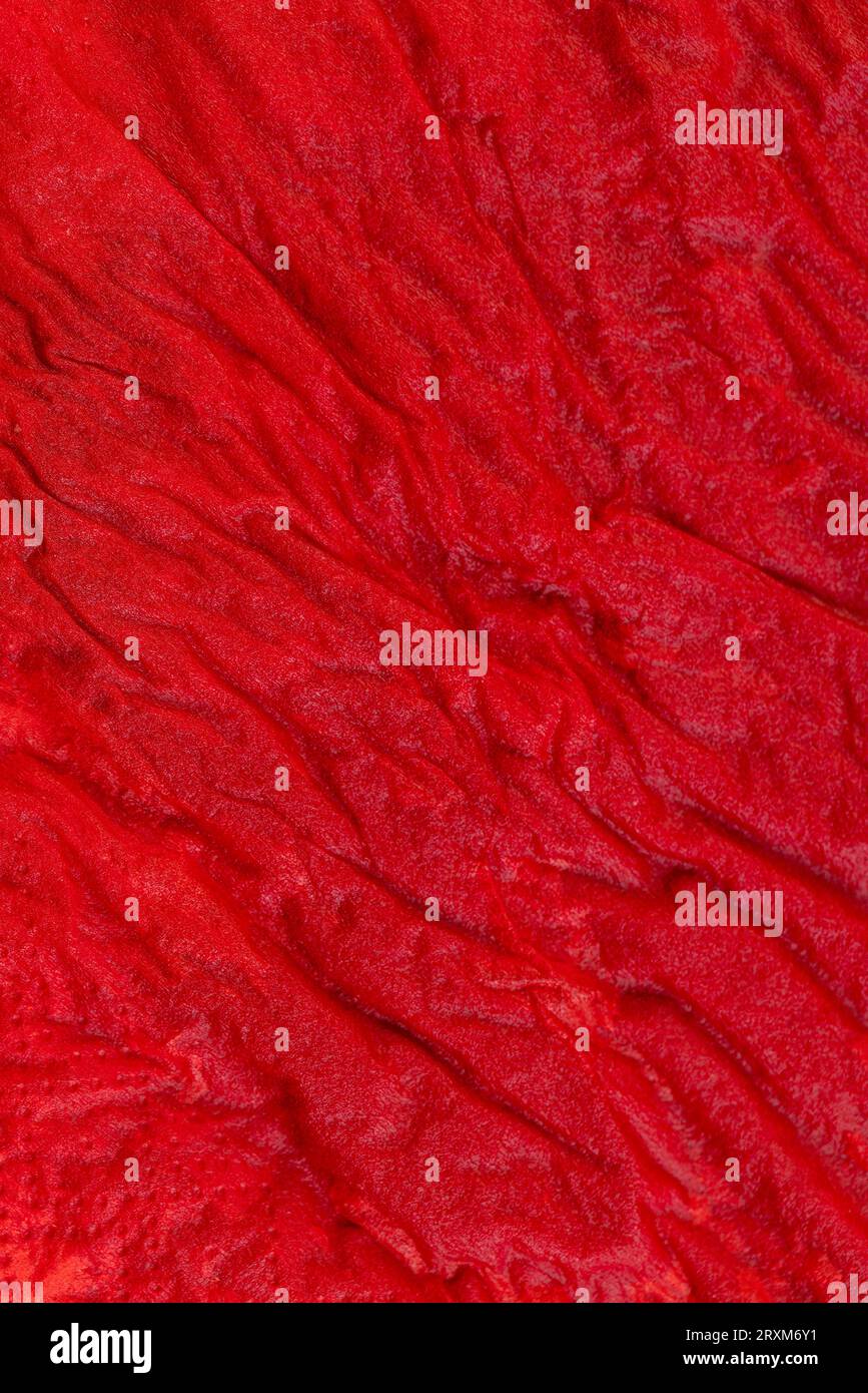 Wrinkled cleaner hi-res stock photography and images - Alamy