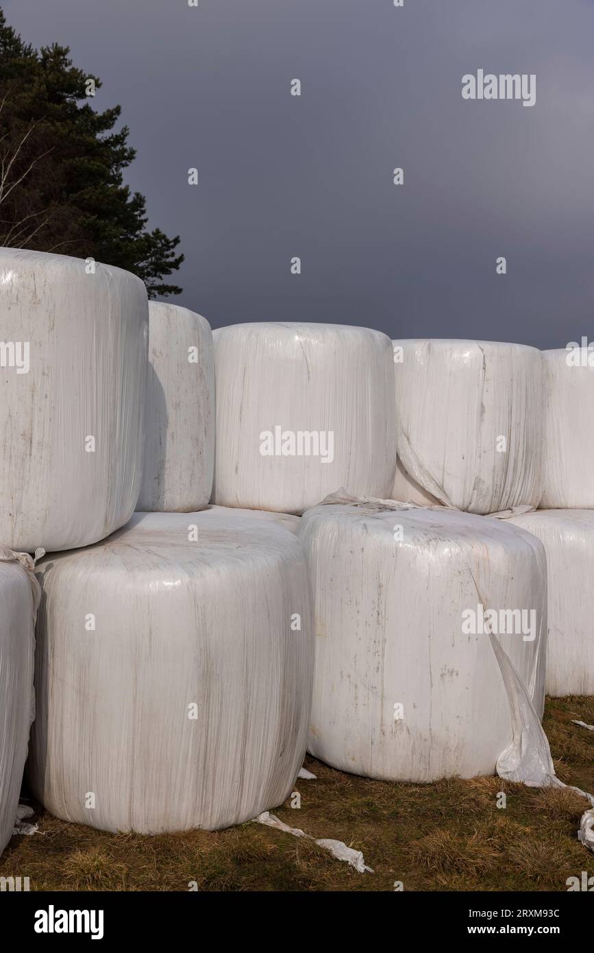 white plastic packaging for hay during storage in winter, old dirty ...