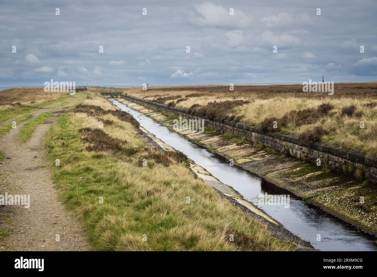 Warland res hi-res stock photography and images - Alamy