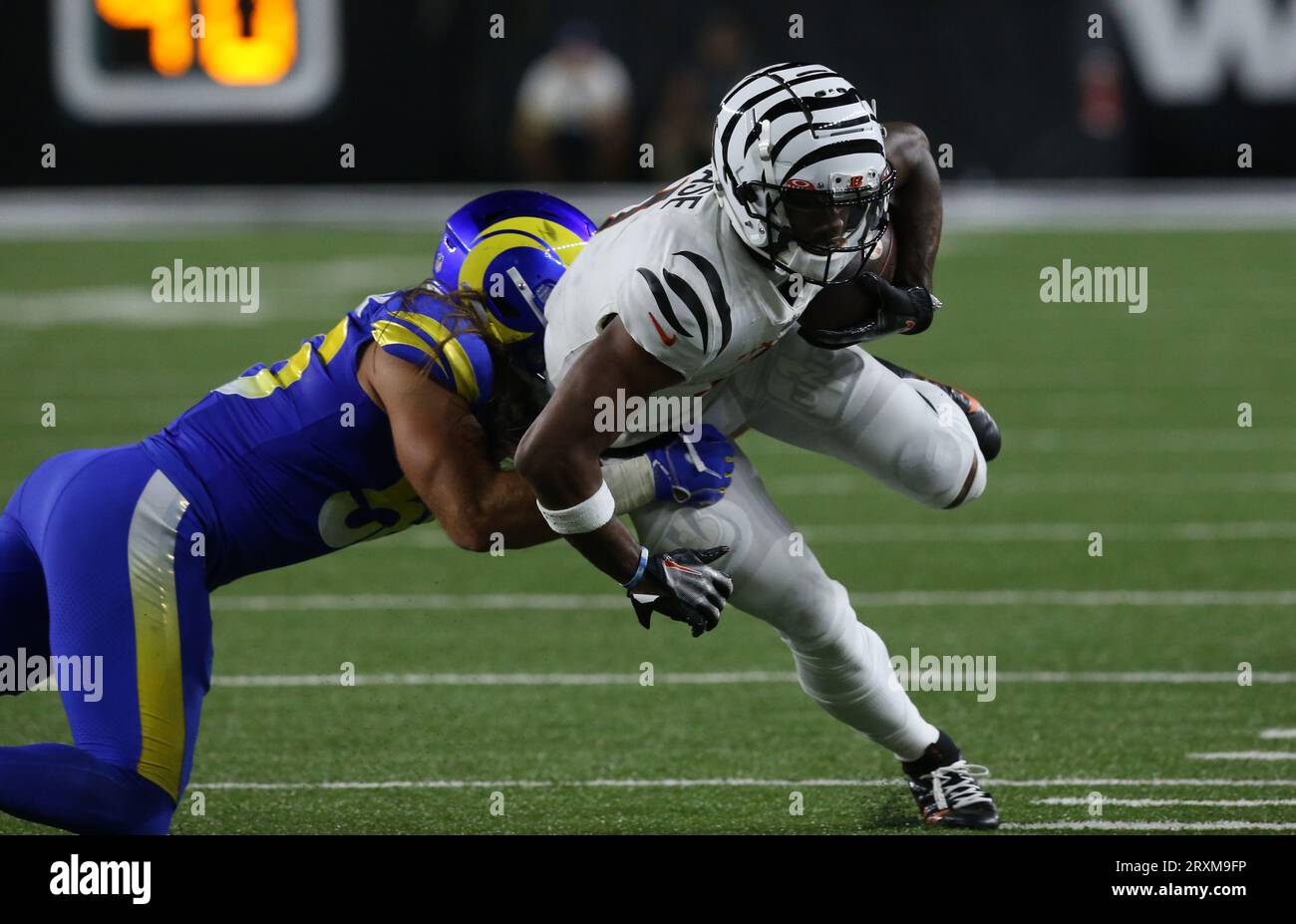 Christian rozeboom rams hi-res stock photography and images - Alamy