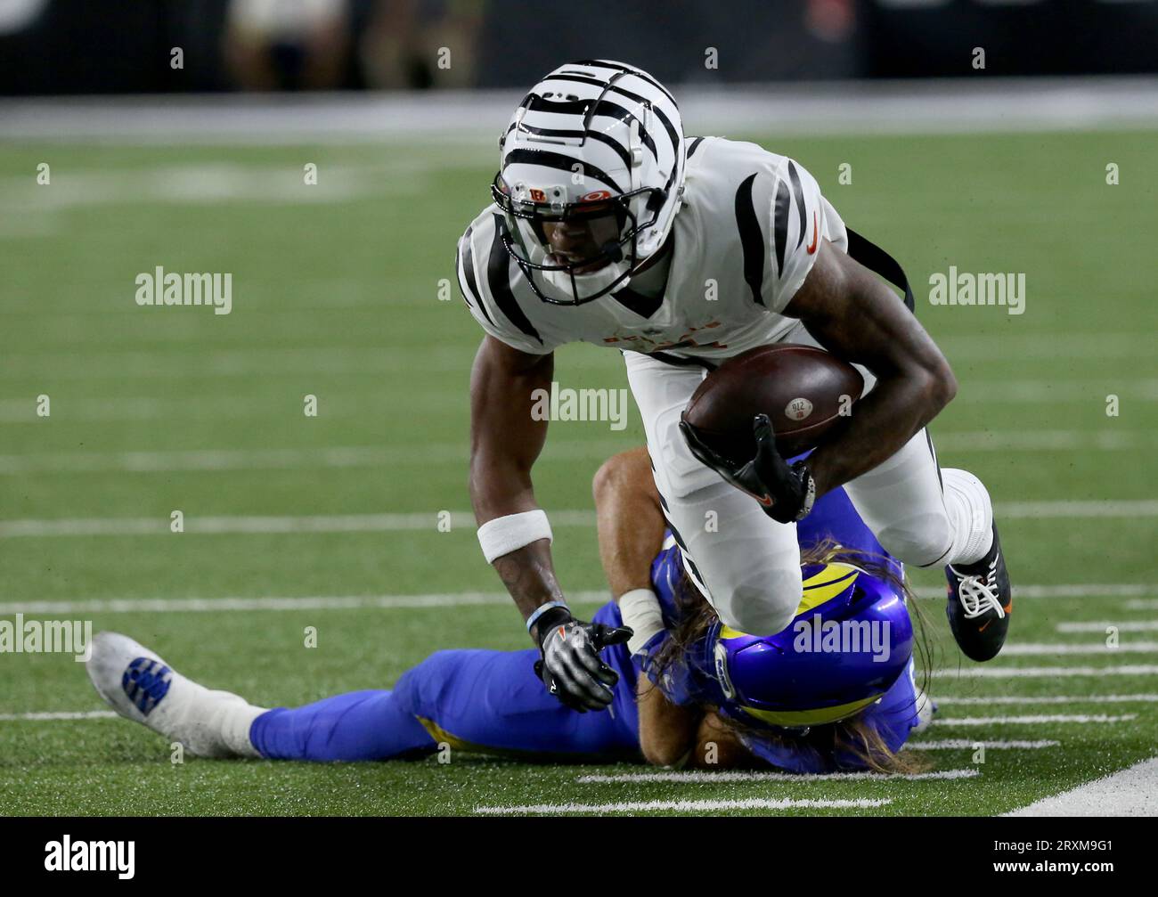 Christian rozeboom rams hi-res stock photography and images - Alamy