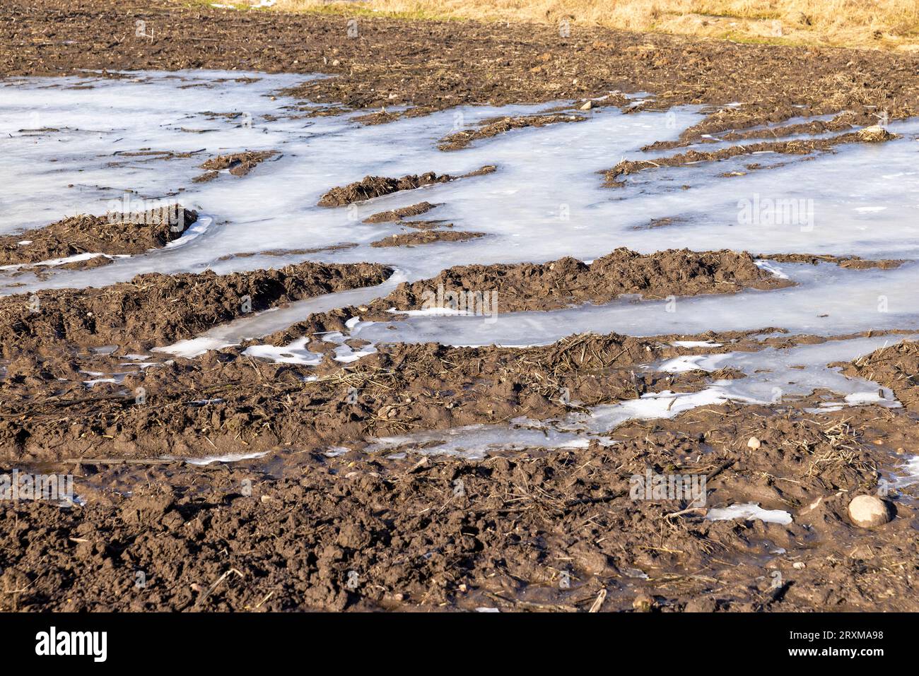 Puddles melting ice surface hi-res stock photography and images - Alamy