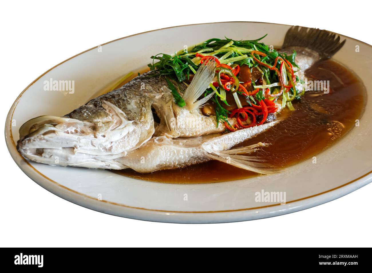 Steamed snapper fish with soy sauce in white ceramic plate isolated on ...