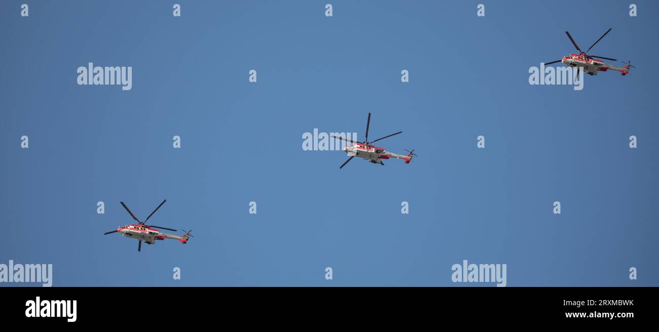 Emerging Hemp: Witnessing the Beauty of Tender Hemp Seedlings Stock ...