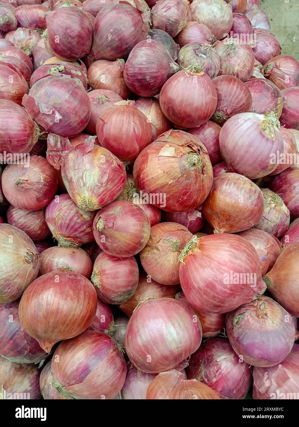 Stall of fresh onion. Fresh organic onion stall in vegetables market ...