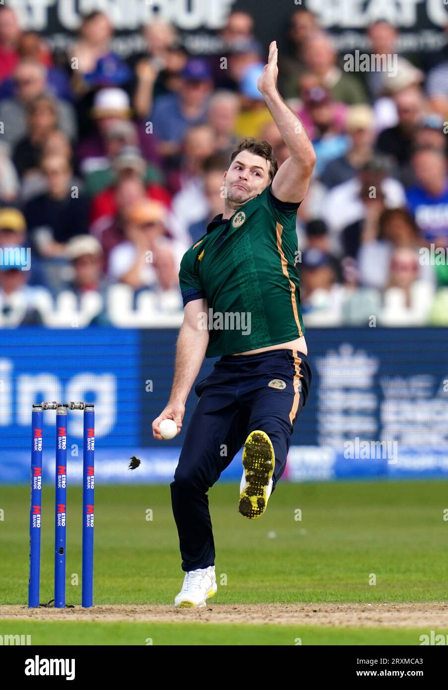 Campher hi-res stock photography and images - Alamy