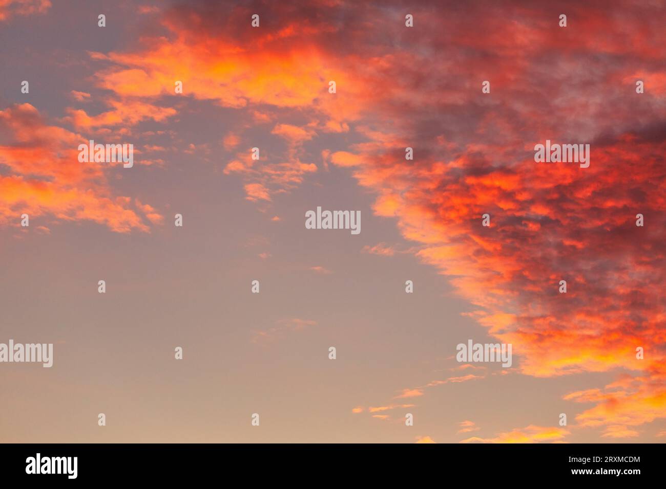 Rustling leaves hi-res stock photography and images - Alamy