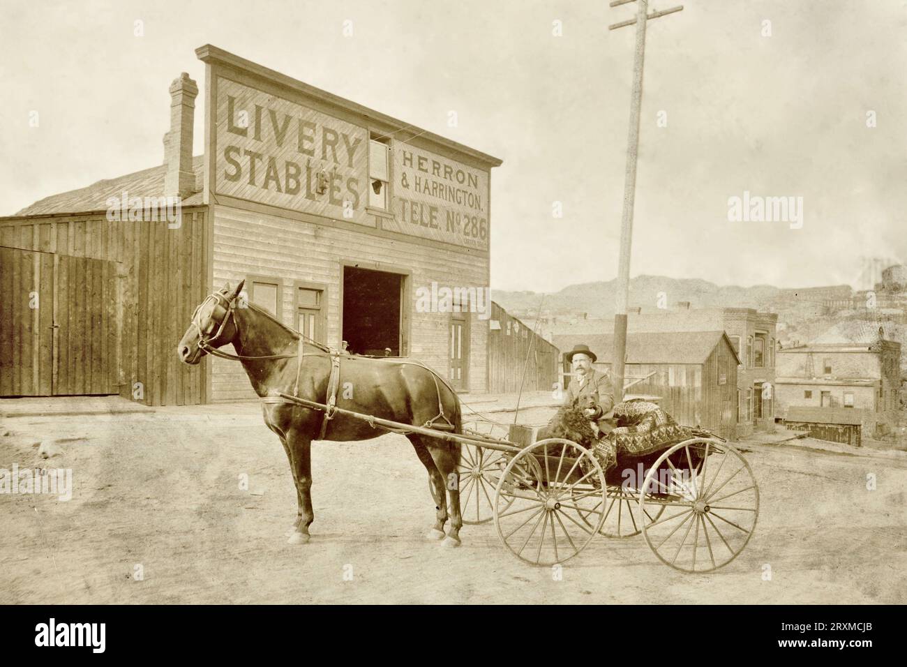Horse and carriage 1890s hi-res stock photography and images - Alamy