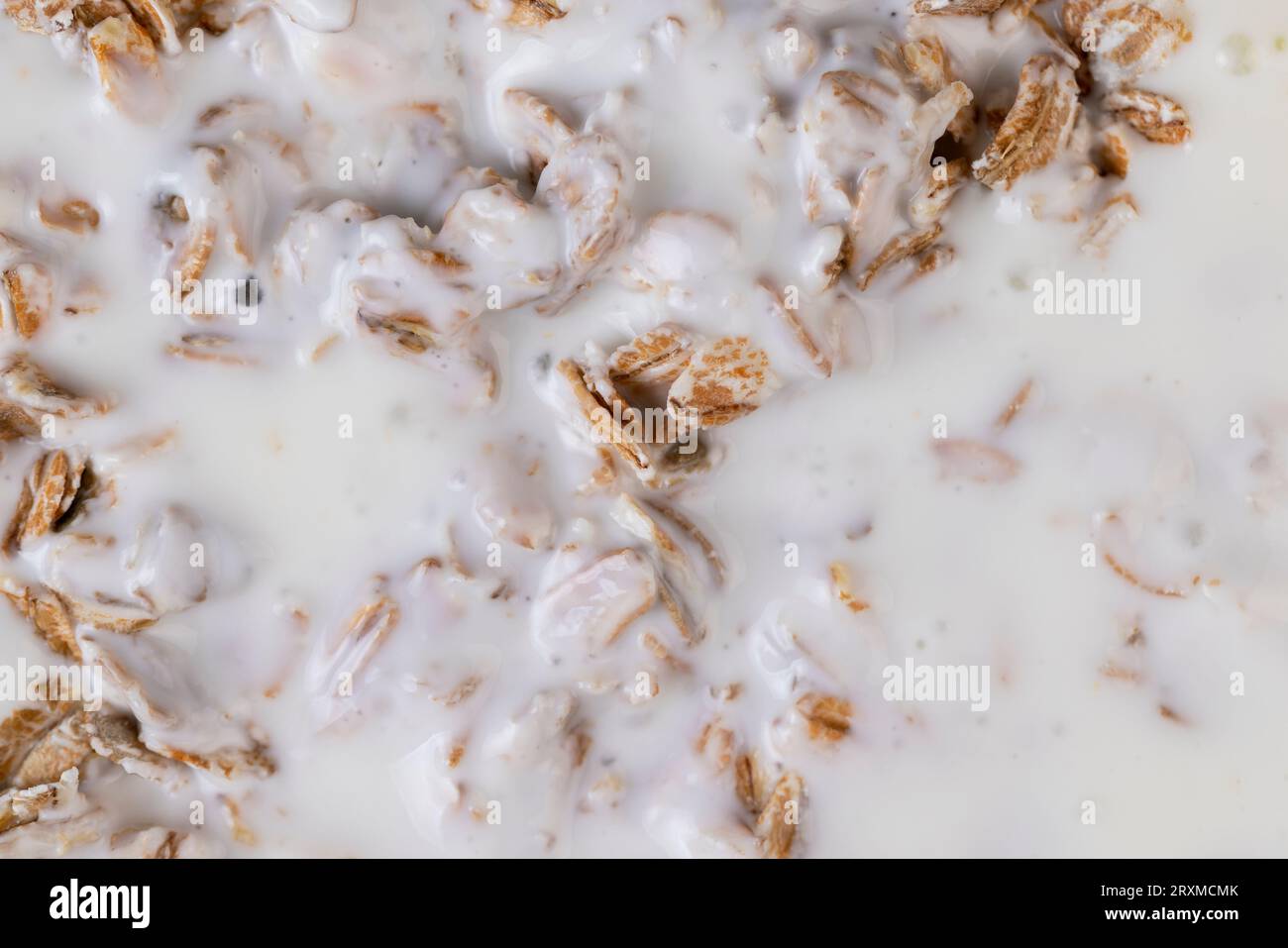 yogurt made from cow's milk with the addition of a large amount of oat ...