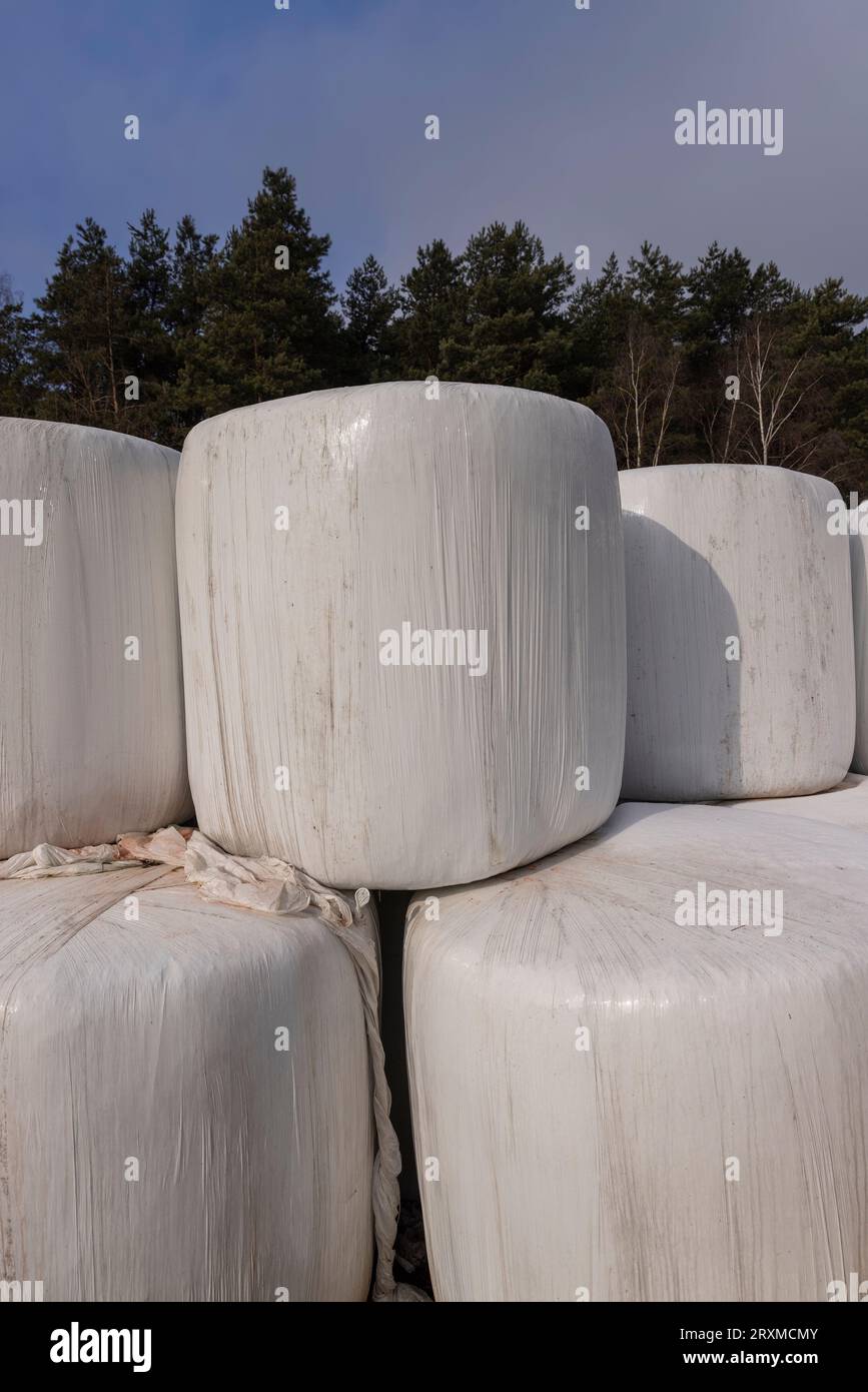 white plastic packaging for hay during storage in winter, old dirty ...