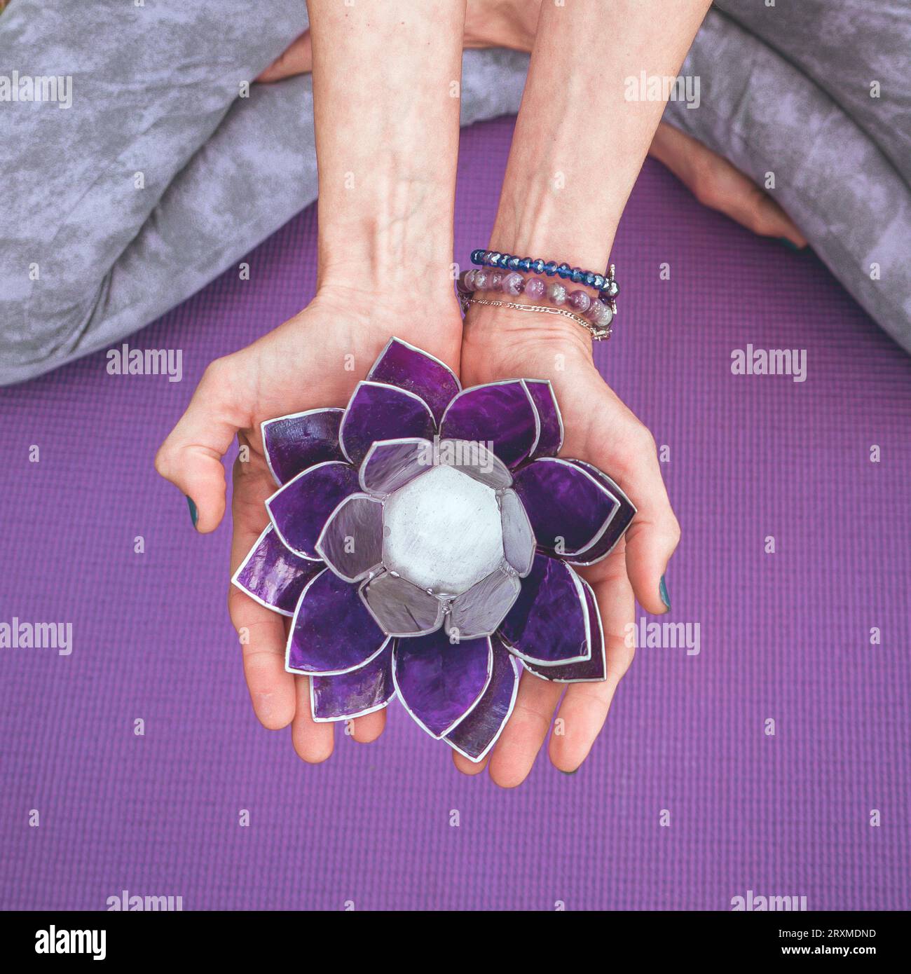 Hands holding lotus hi-res stock photography and images - Alamy
