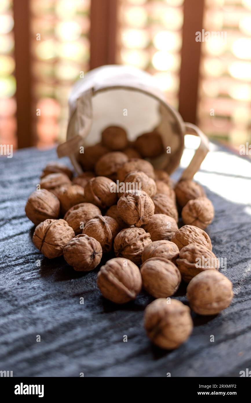 Burlap feeding hi-res stock photography and images - Alamy