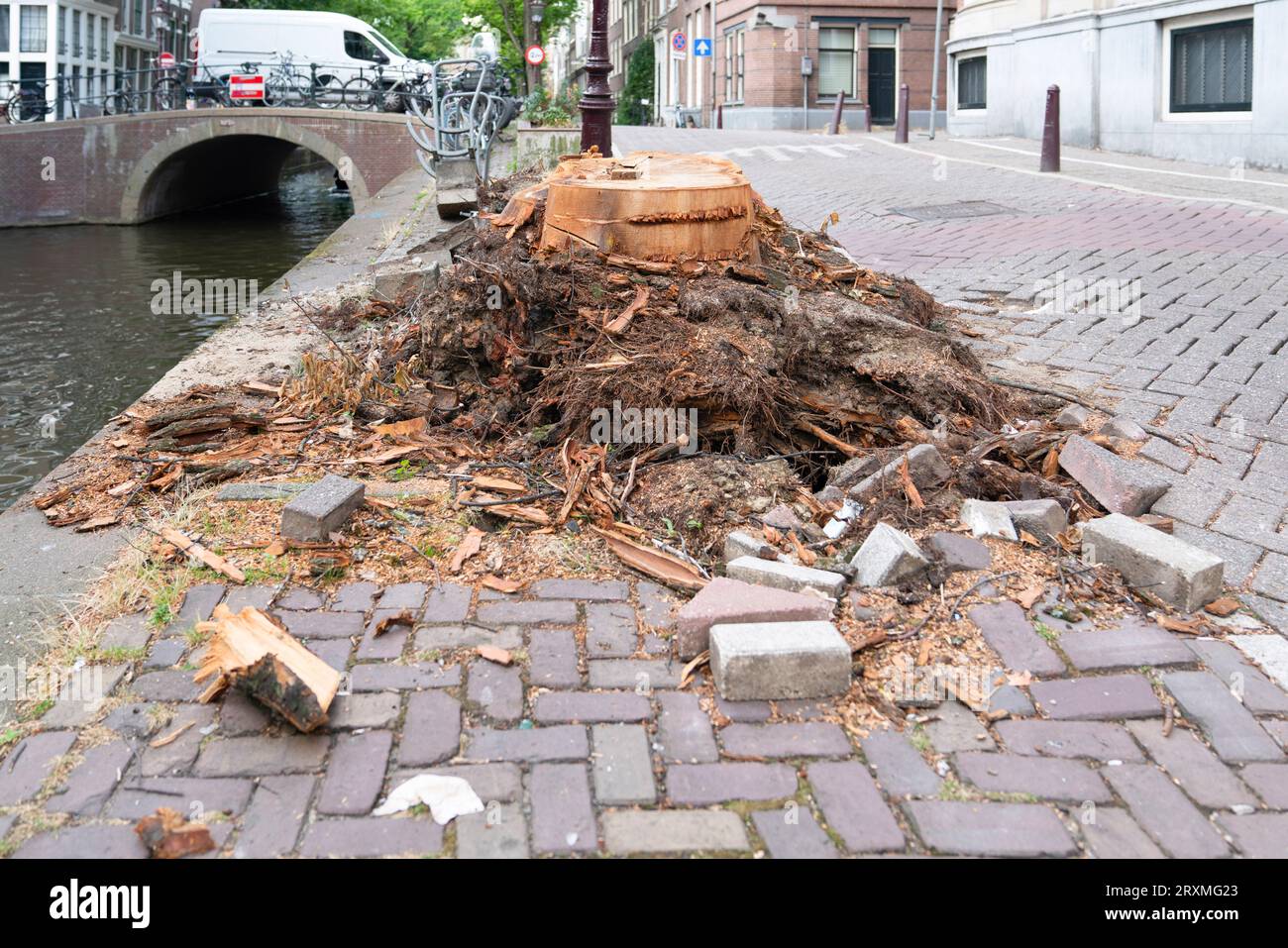 The fallen tree was cut down after the storm. Damage caused by a ...