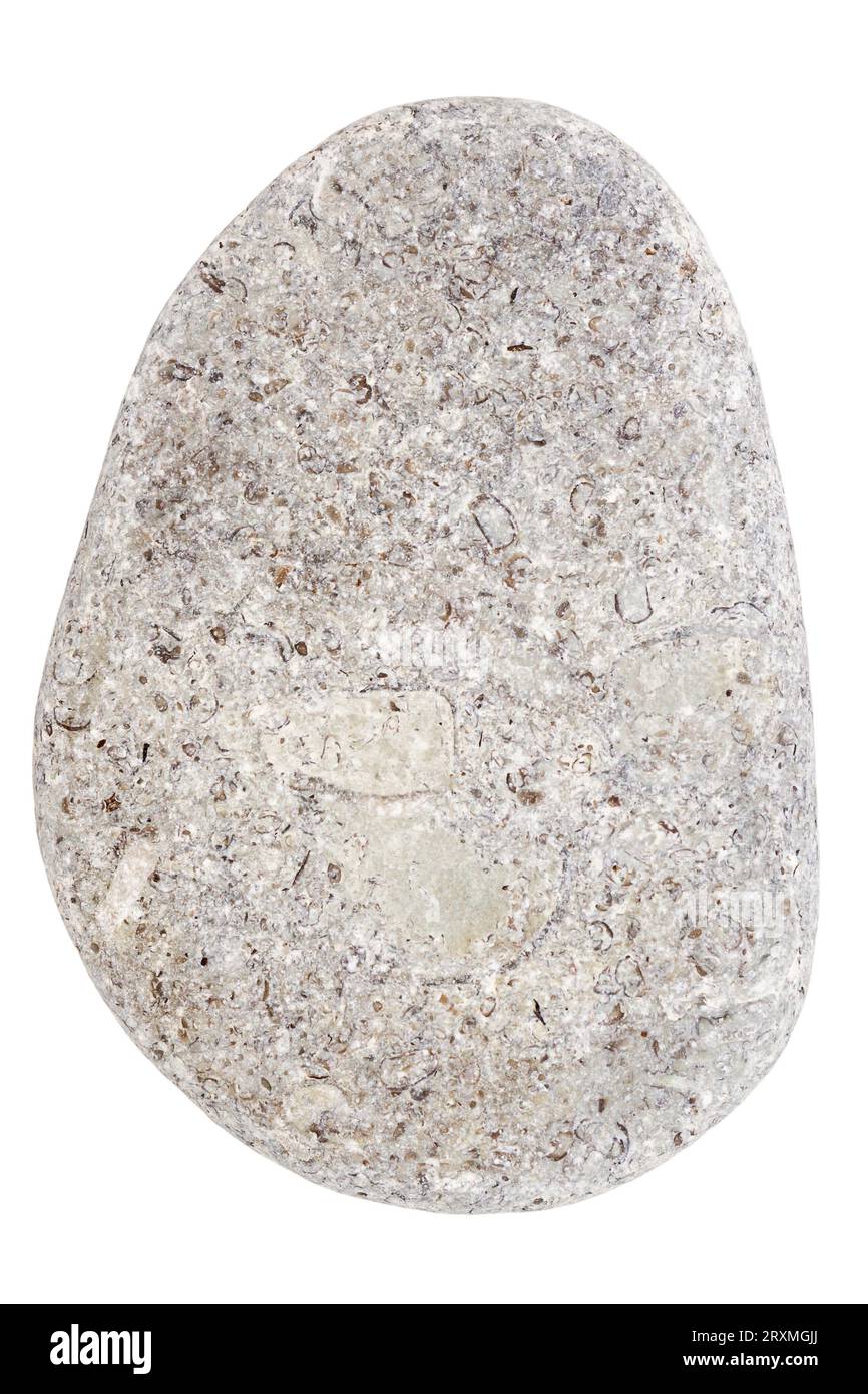 Top view of single gray pebble isolated on white background Stock Photo ...