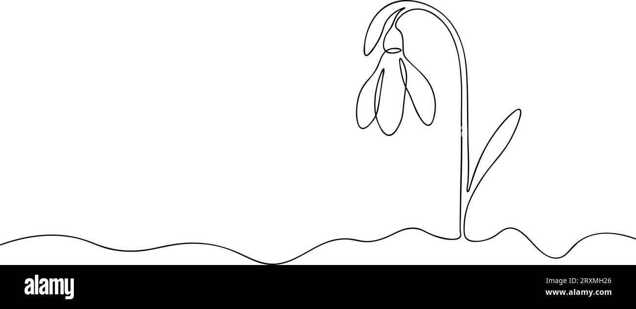 Spring snowdrop flower in continuous line art style. Spring background ...