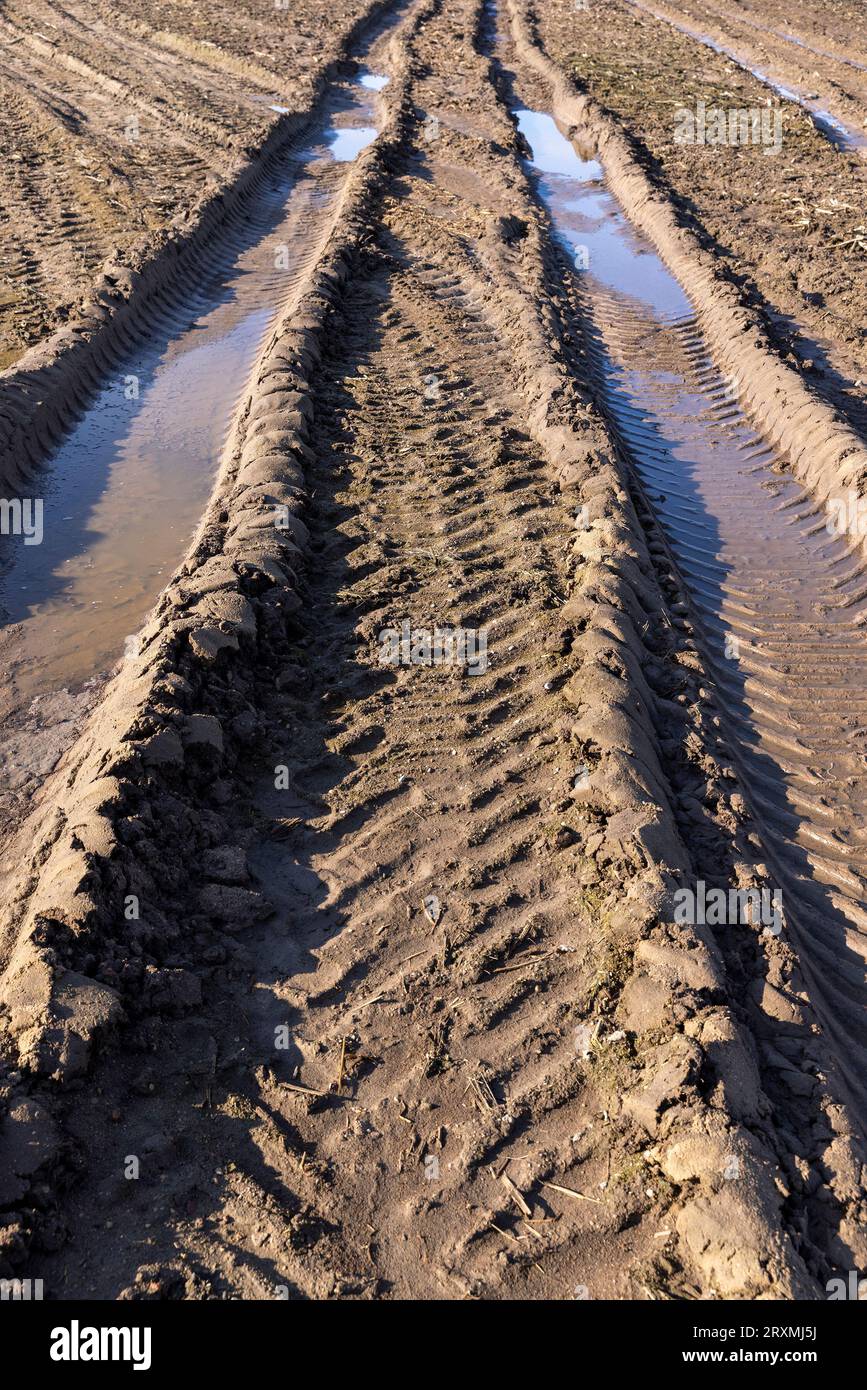 deep ruts from cars in the mud of the field, a field with puddles after ...