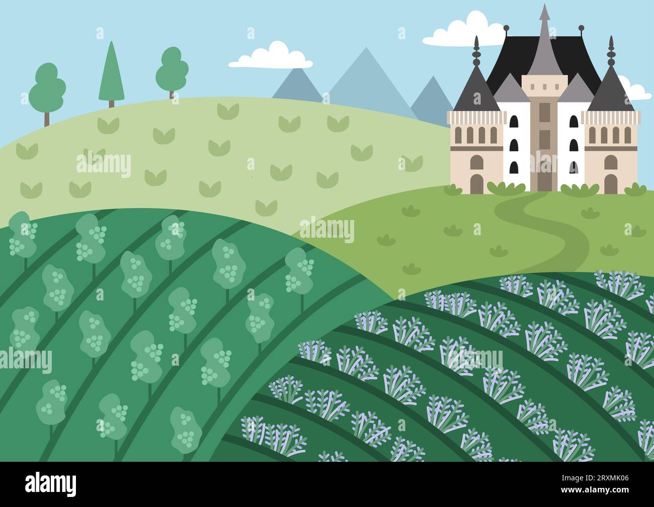 Vector French landscape with wine yard and lavender field. European ...
