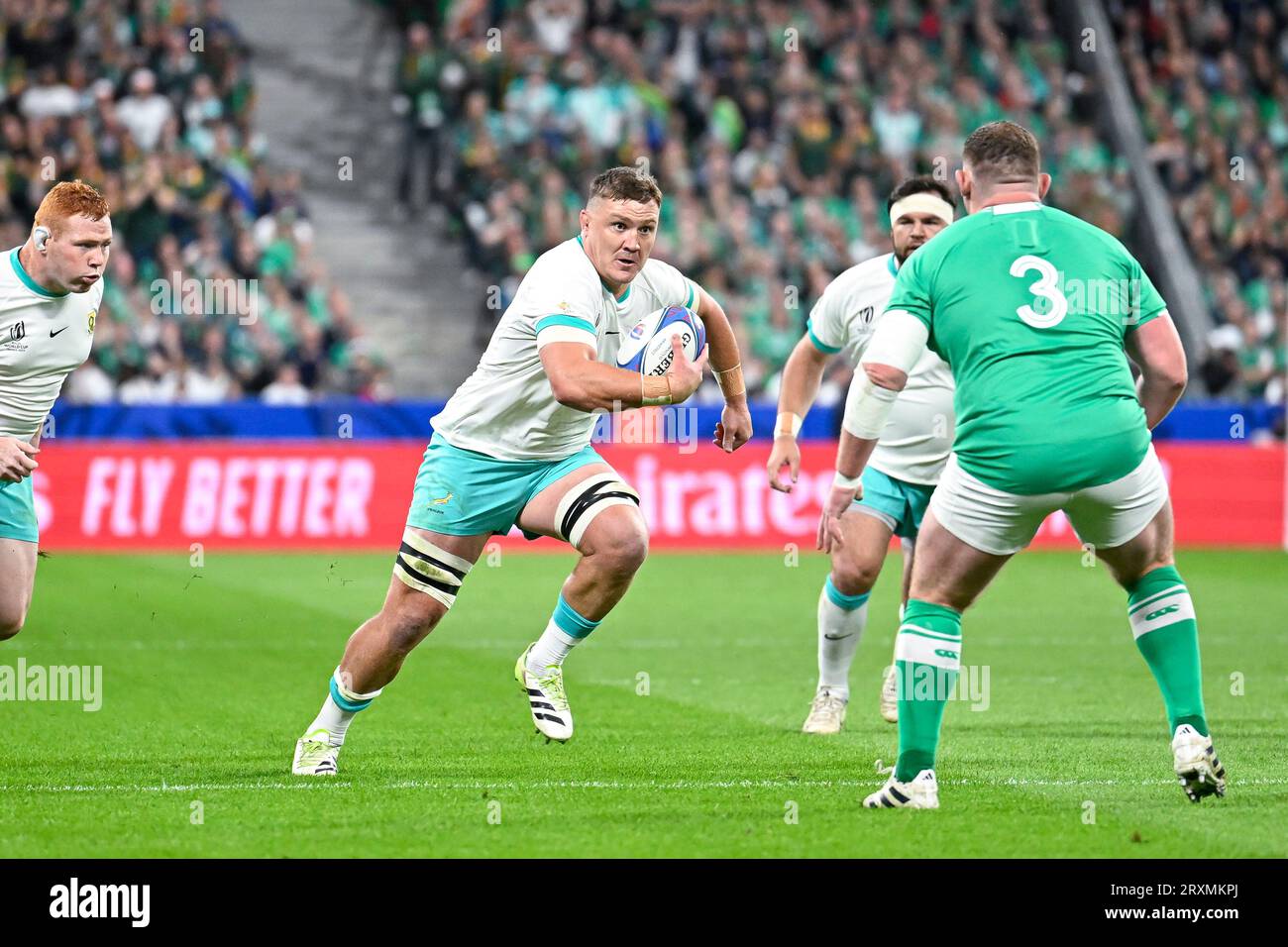 Jasper wiese springboks hi-res stock photography and images - Alamy