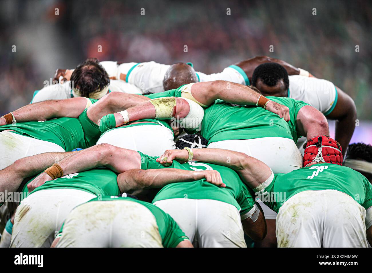 South africa france scrum hi-res stock photography and images - Alamy