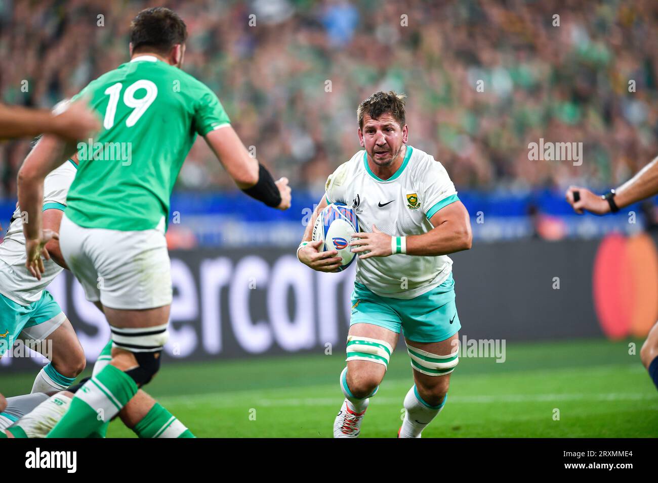 Kwagga smith springboks hi-res stock photography and images - Alamy