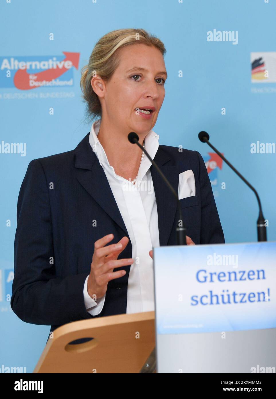 Alice weidel bundestag hi-res stock photography and images - Alamy