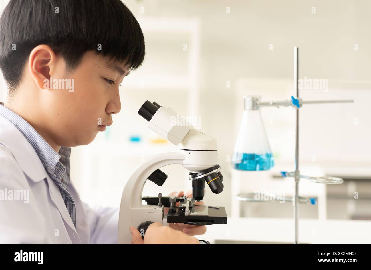Children scientist learning on biology and chemistry in the laboratory ...