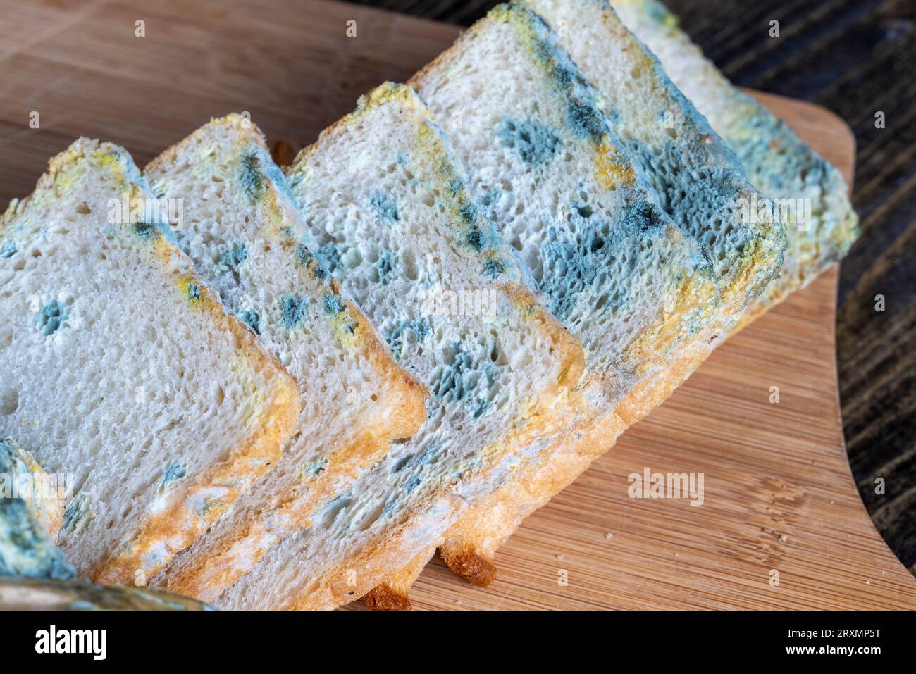 mold-covered sliced wheat bread, spoiled mold-covered dangerous pieces ...