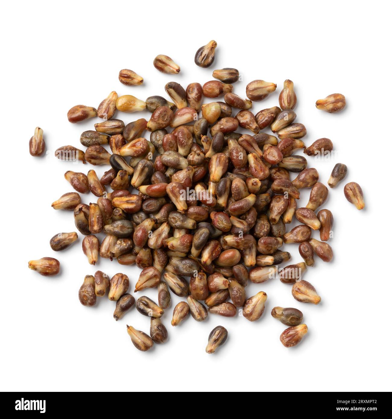 Grape seed hi-res stock photography and images - Alamy