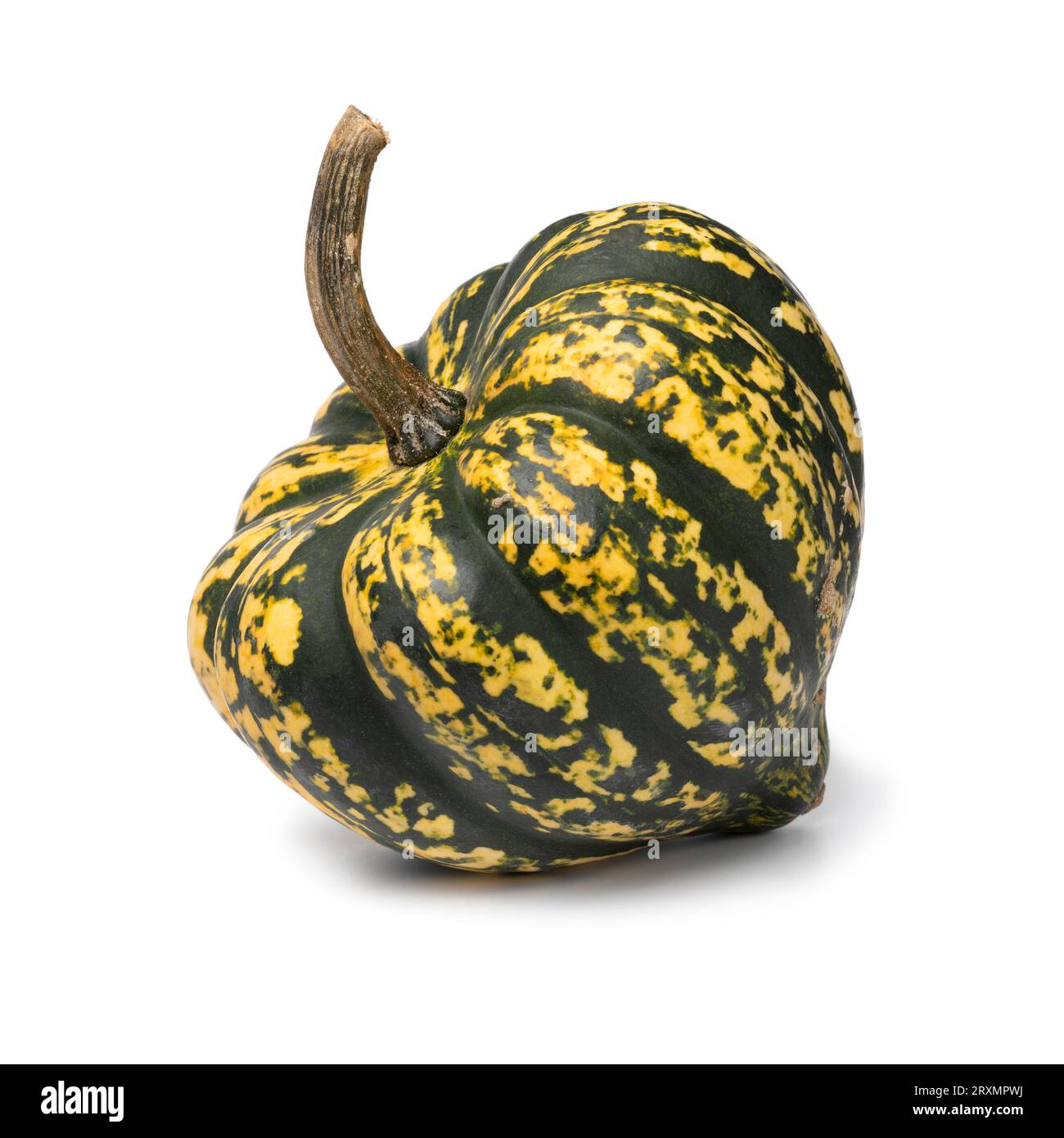 Single whole fresh Acorn Squash isolated on white background close up ...