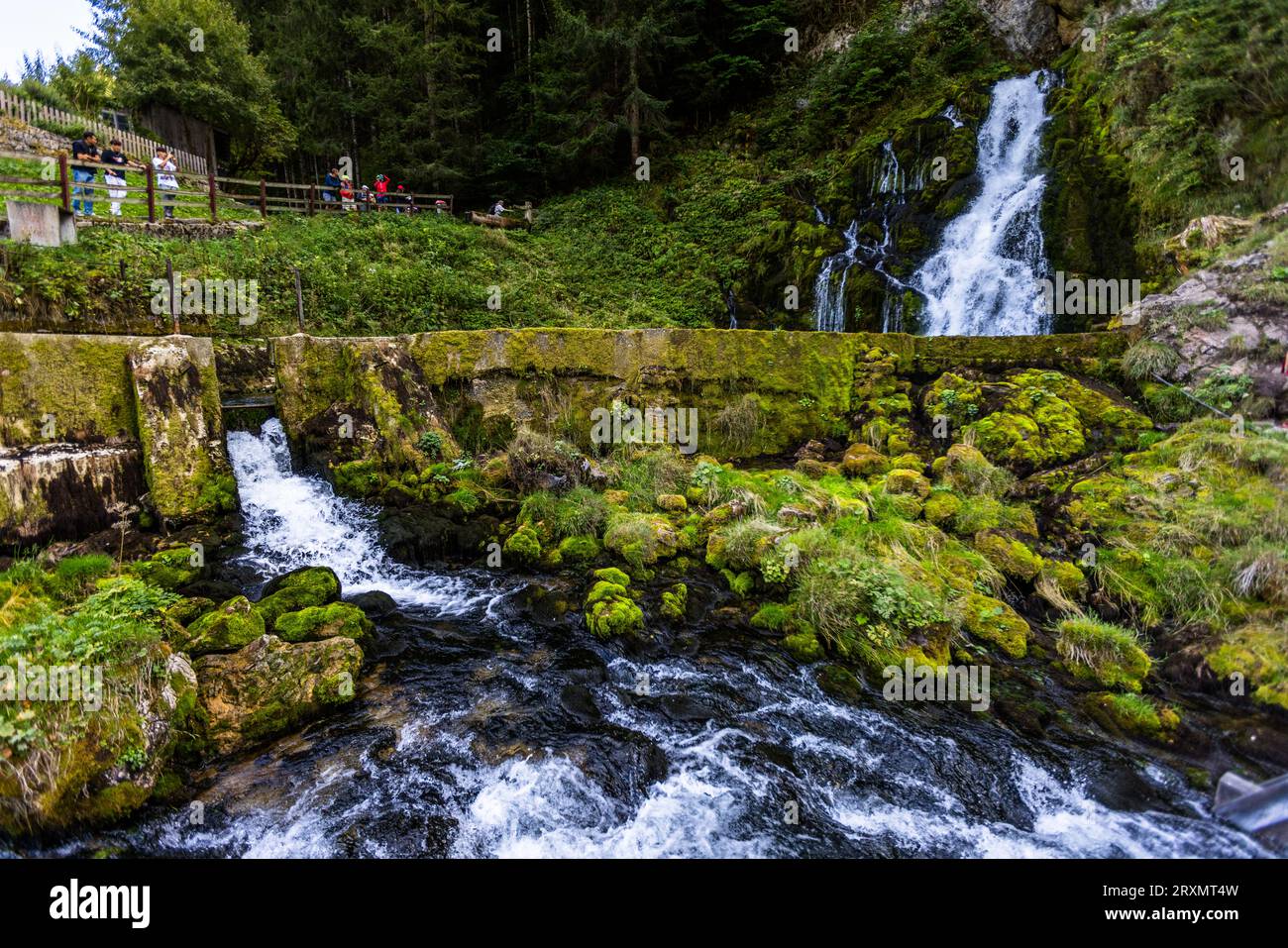 Garden water feature algae hi-res stock photography and images - Alamy