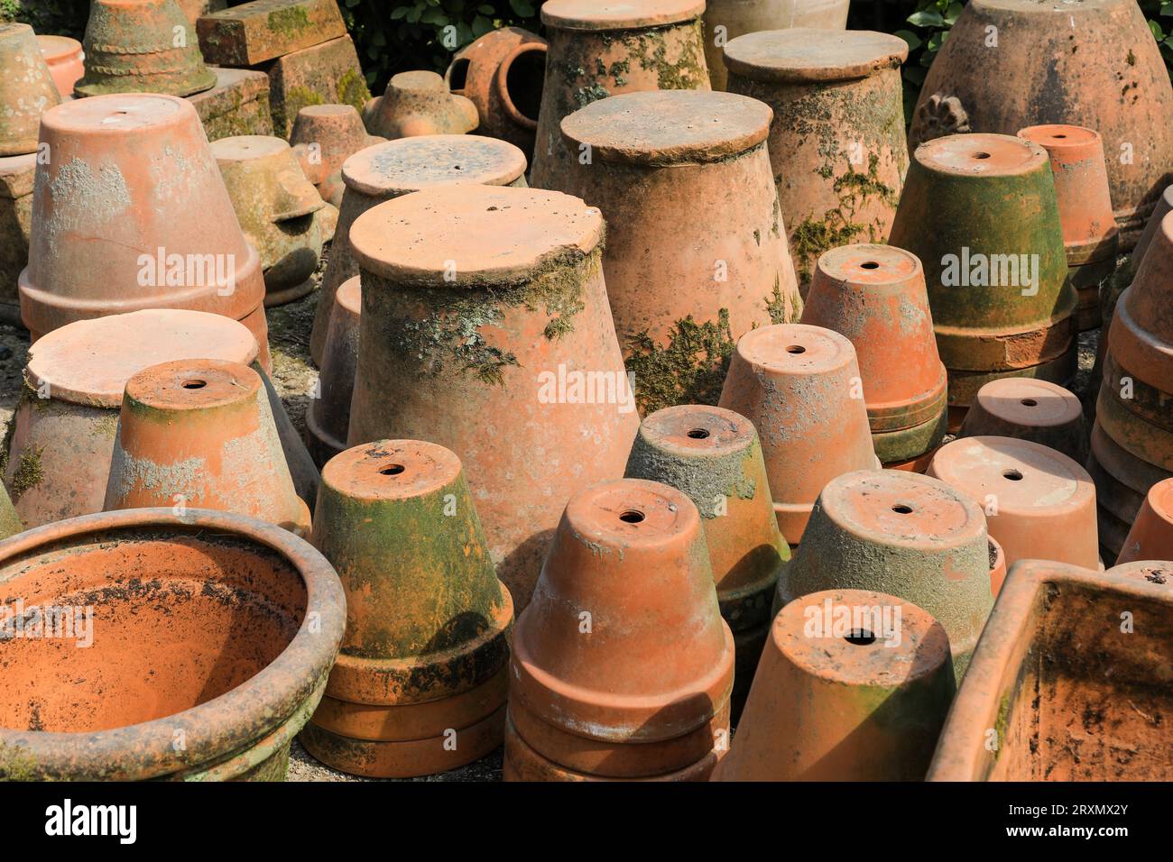 Terracotta pots uk hi-res stock photography and images - Alamy