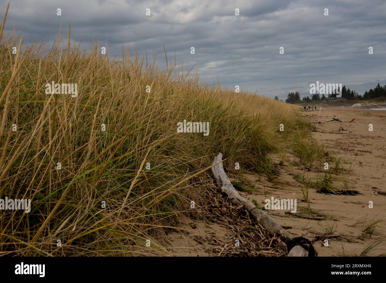 Knol beach hi-res stock photography and images - Alamy
