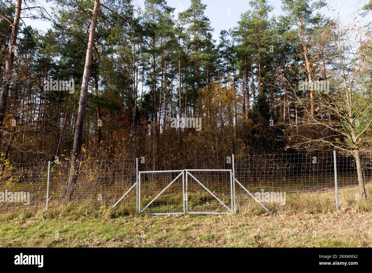 metal fencing in the forest to protect the territory from wild animals ...