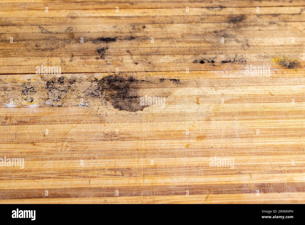 covered with mold and fungus bamboo cutting board, spoiled wooden board ...