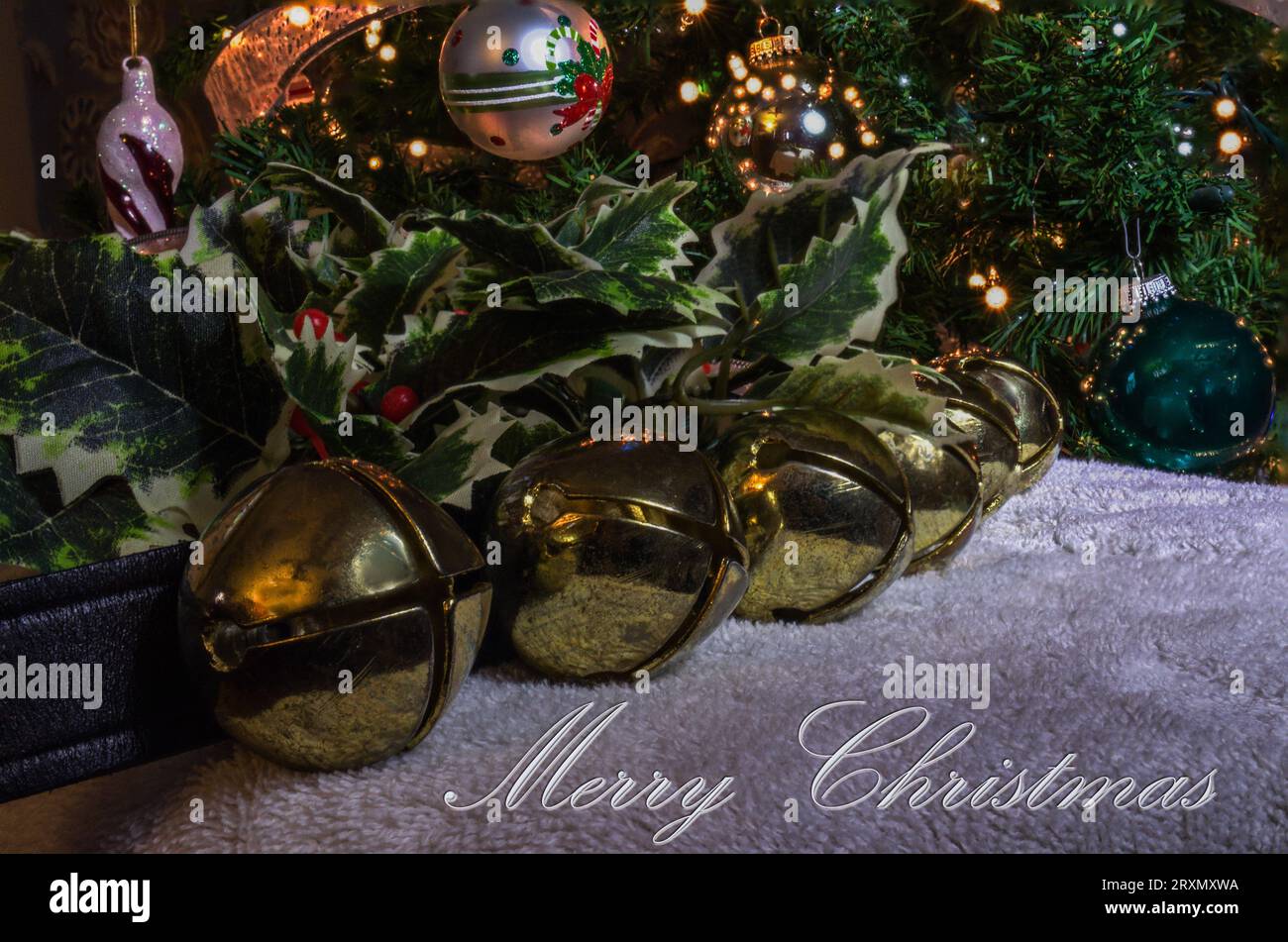 Gold wishing tree hi-res stock photography and images - Alamy