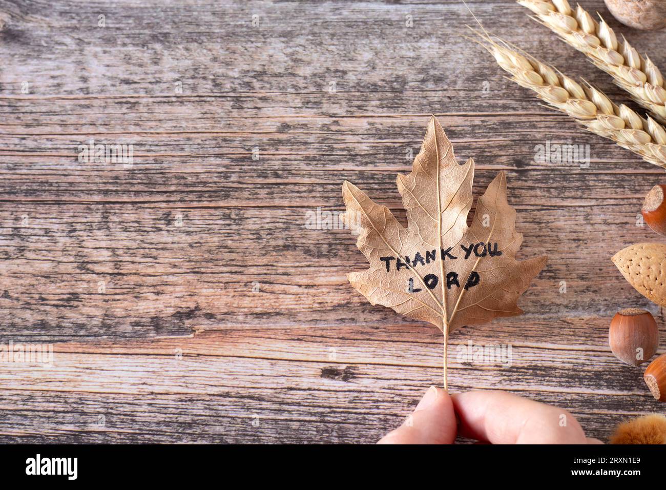 Hand holding autumn leaf with handwritten quote Thank You LORD with ...