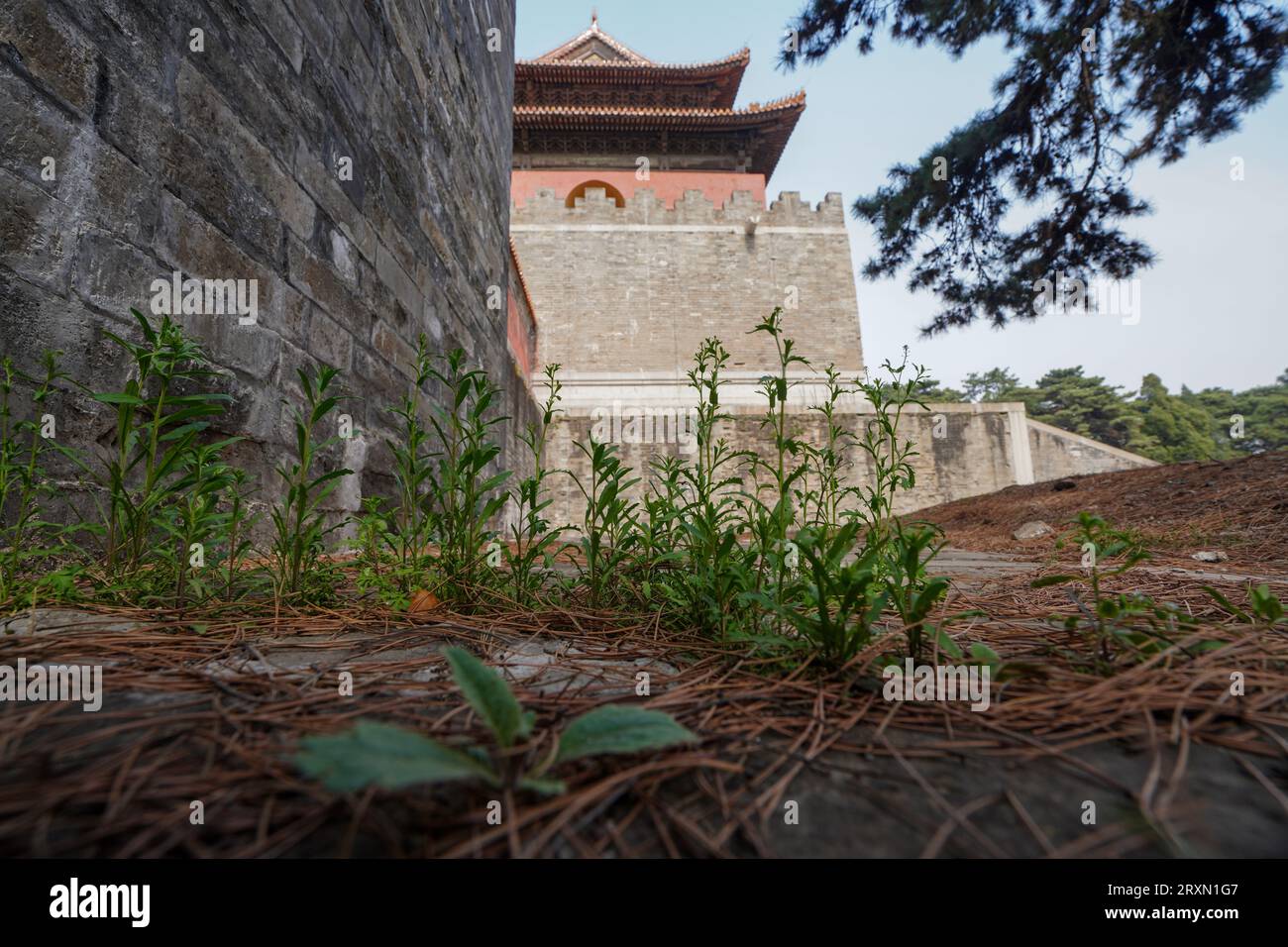The passage paved with gray bricks is located in the Eastern Tombs of ...