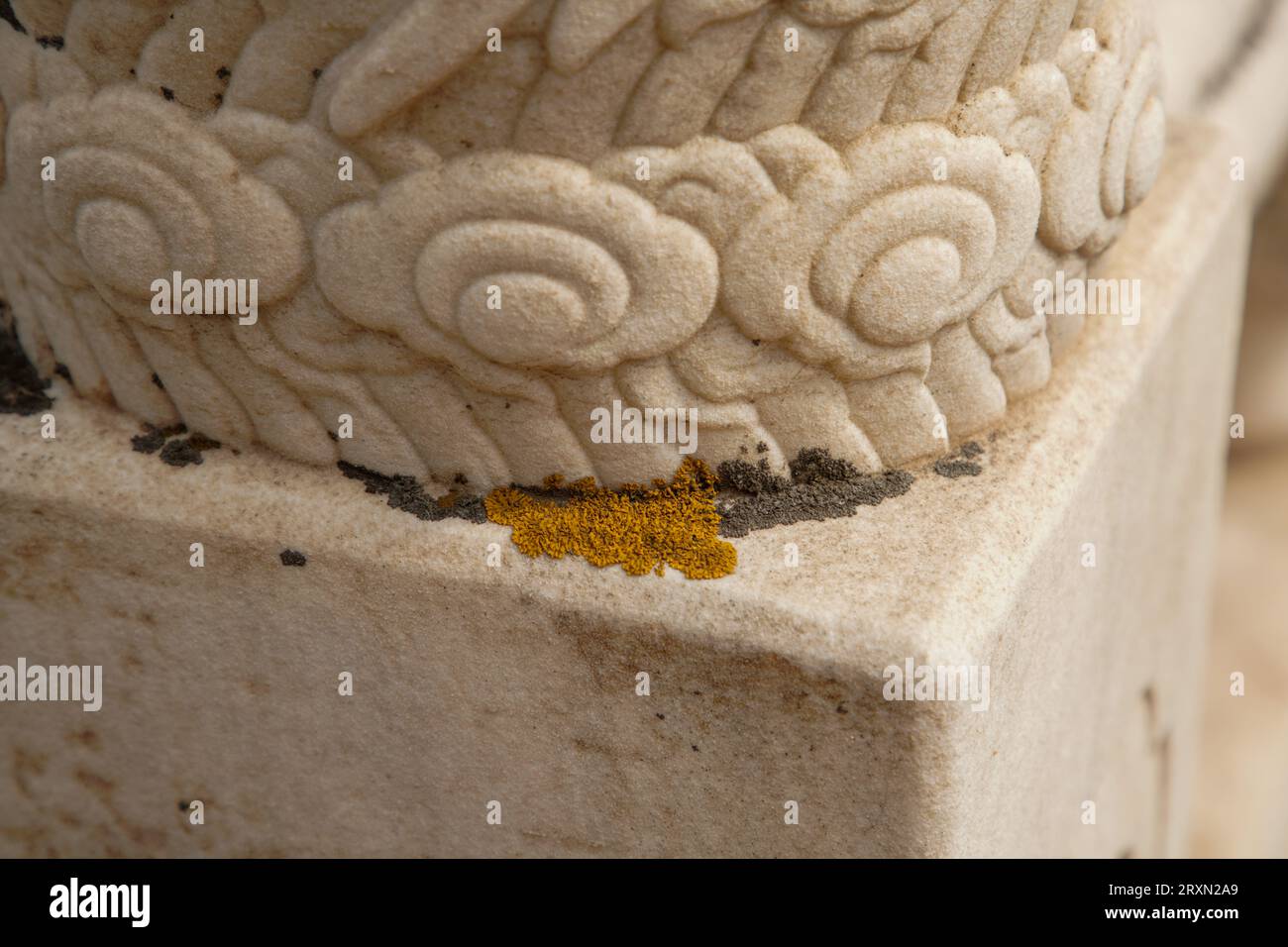 Exquisite stone carvings in the Eastern Tombs of the Qing Dynasty ...