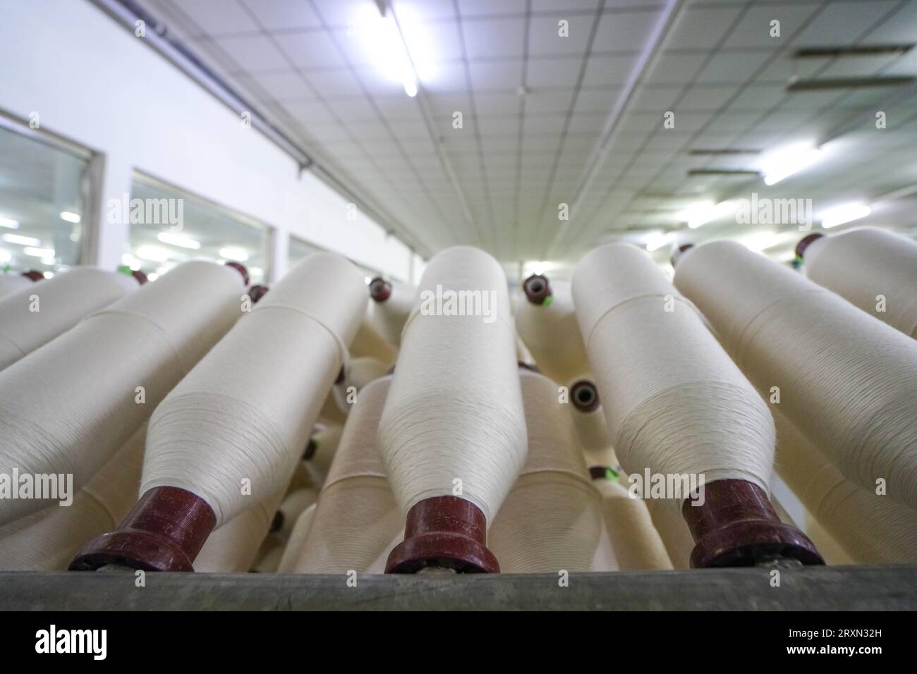 Yarn spools on a cotton spinning production line Stock Photo - Alamy