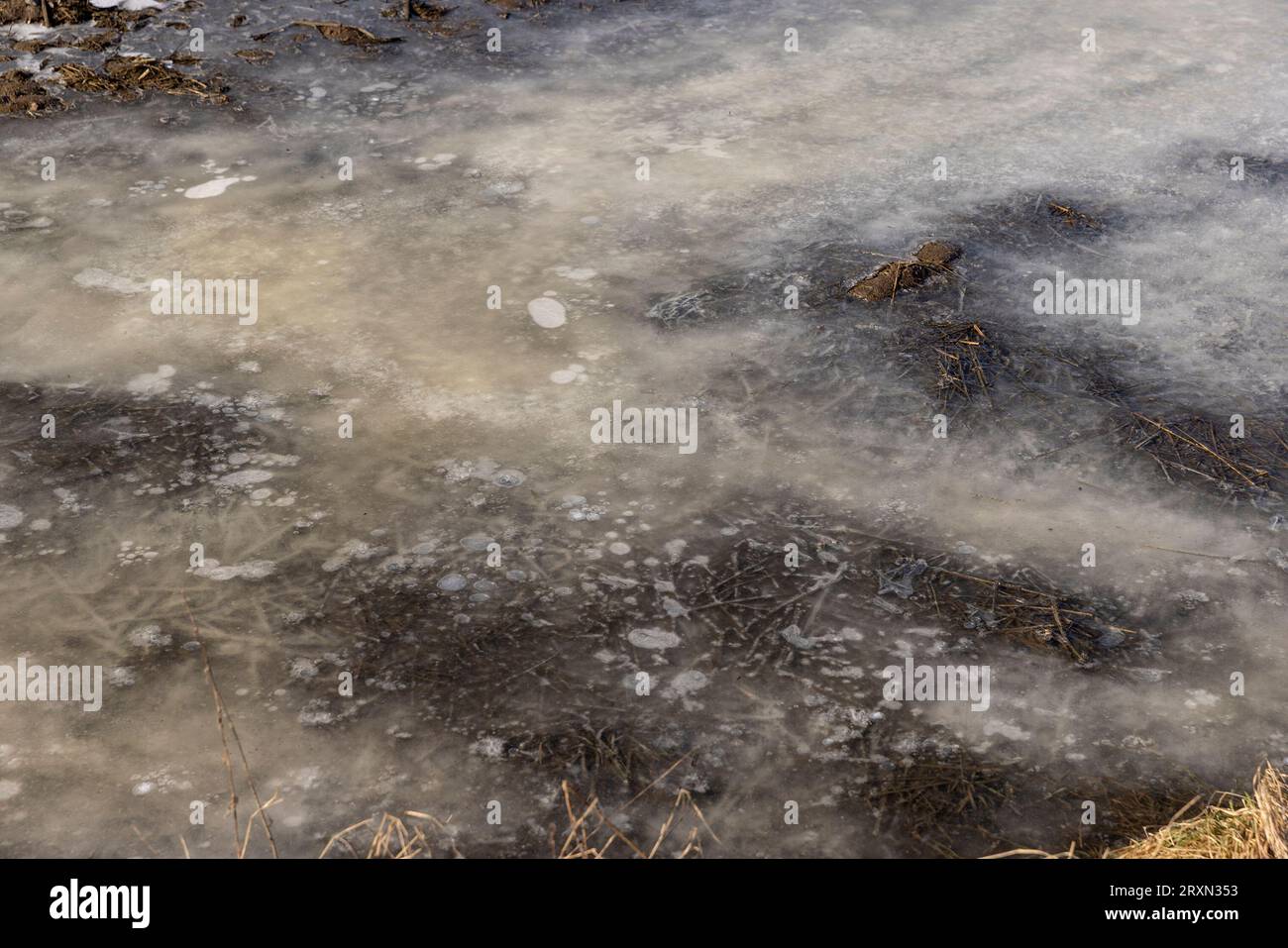 frozen puddles in an agricultural field with fertile soil, frozen dirty ...